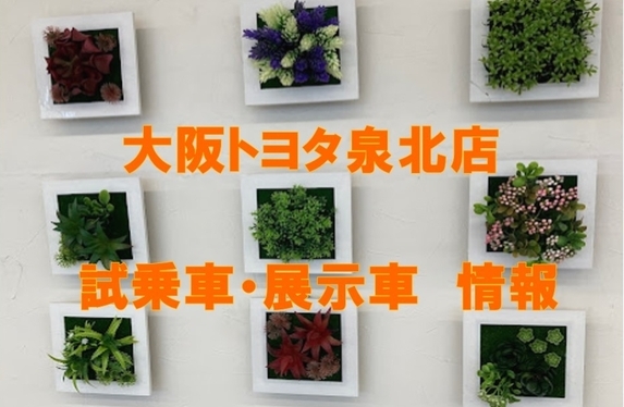 泉北店 試乗車・展示車 紹介
